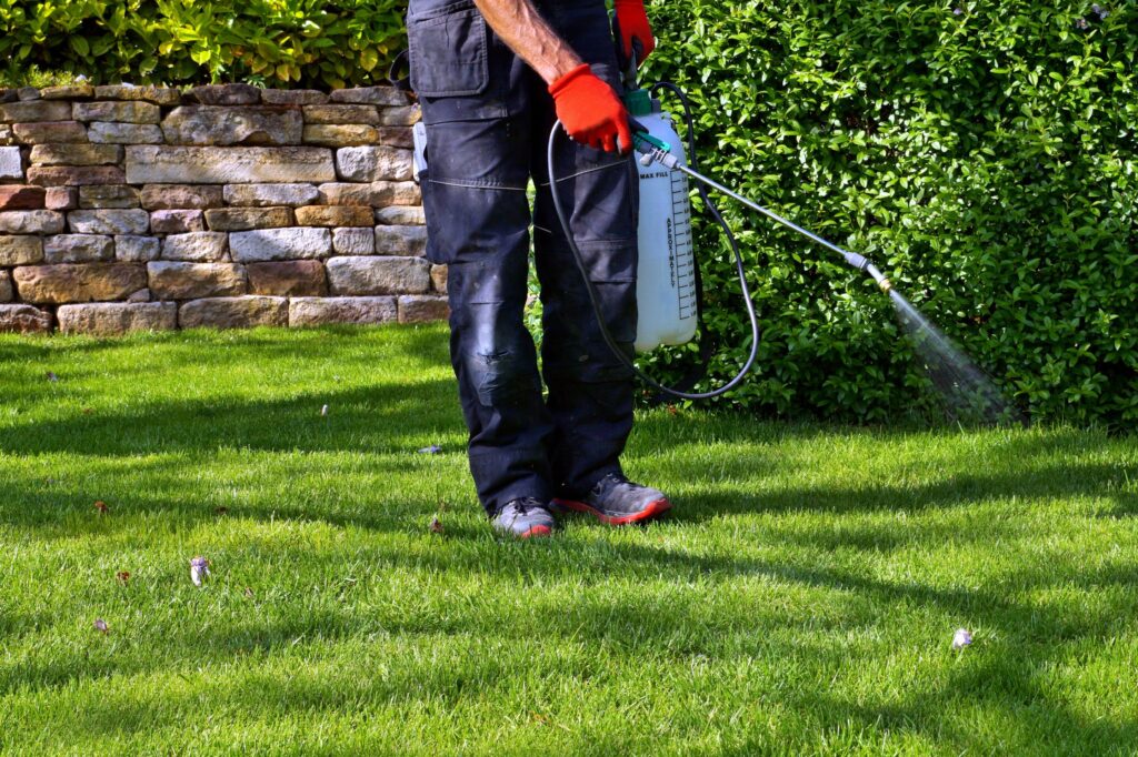 Effectiveness Of Green Pest Control | Urban Desert Pest Control
