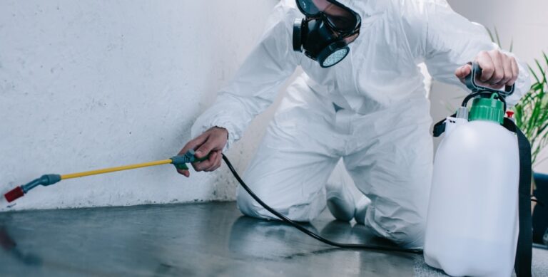 What Is Termidor? Everything You Need To Know - Urban Desert Pest Control