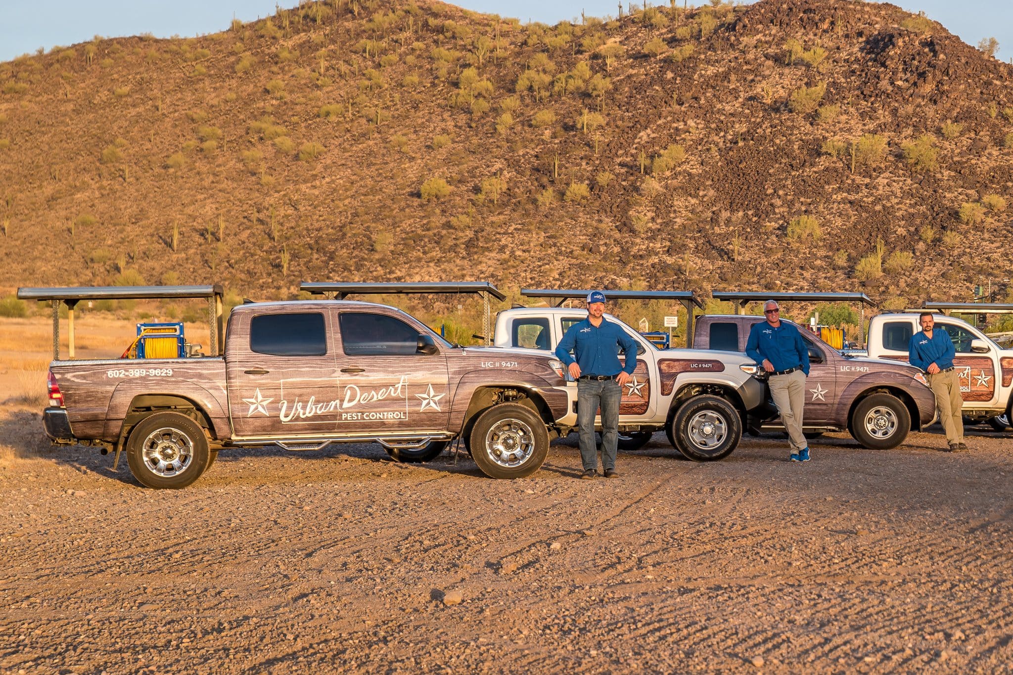 Arizona Centipedes: Common Types - Urban Desert Pest Control